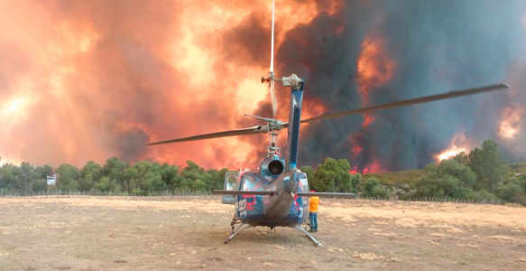 Aero Elite Acapulco - Servicio aéreos en México
